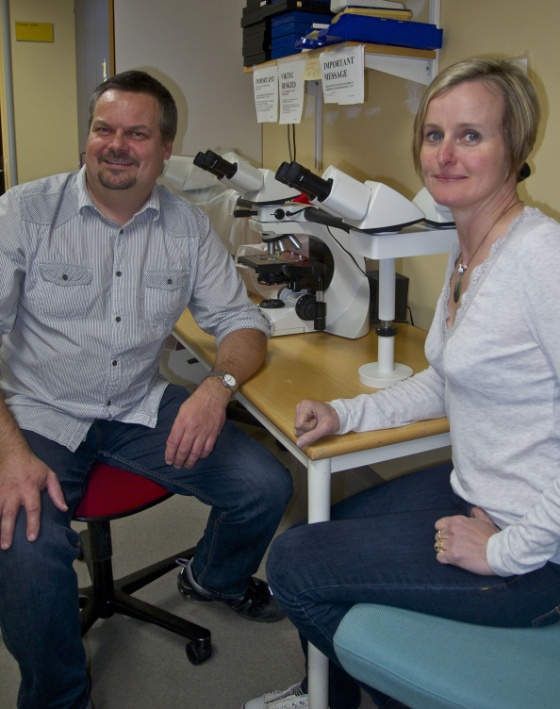 Raskere frisk etter benmargstransplantasjon | UiT