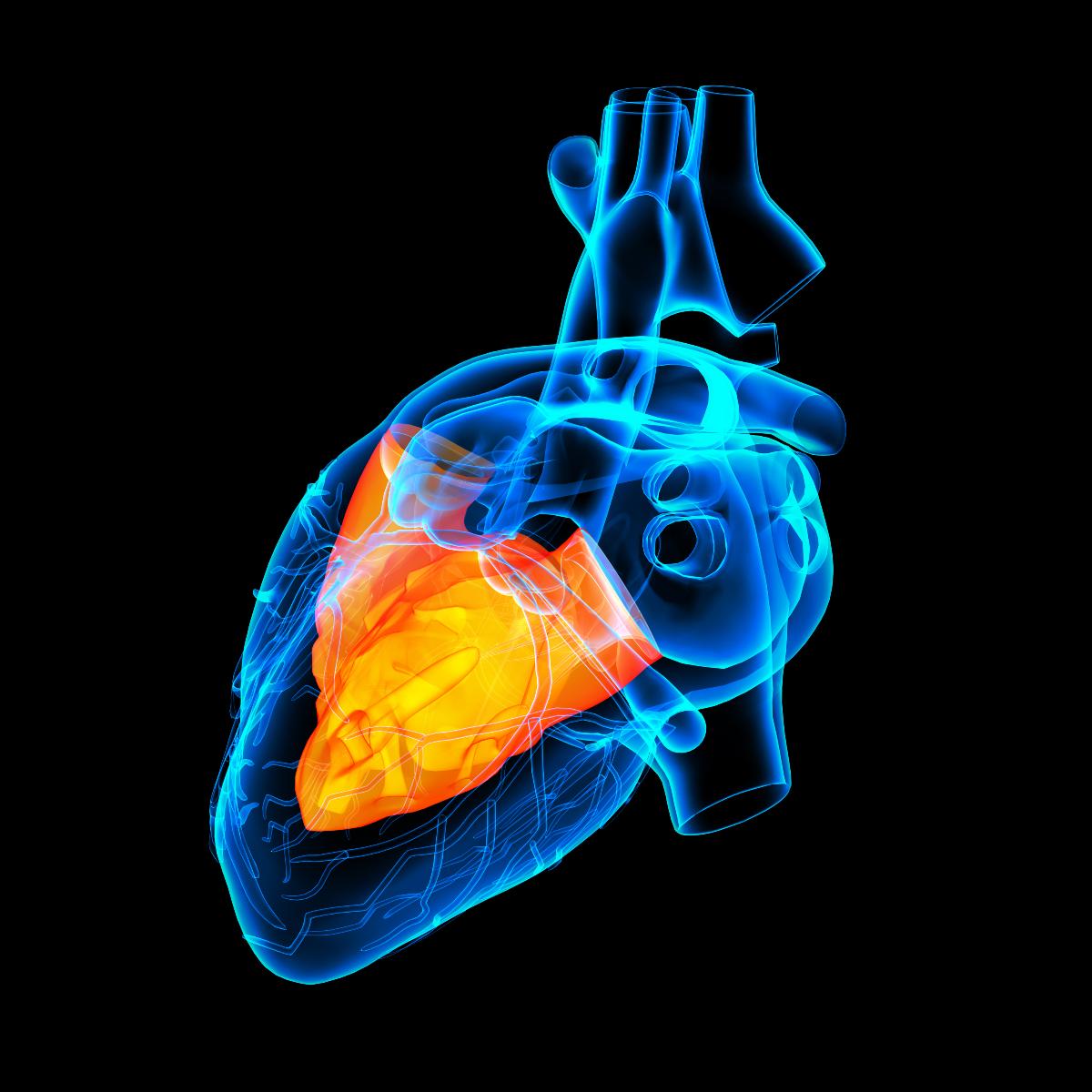 Høy smertetoleranse kan skjule symptomer på hjerteinfarkt | UiT