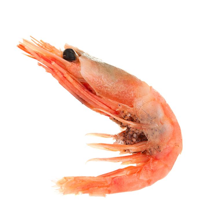 Kan reker kurere sopp i underlivet? | UiT