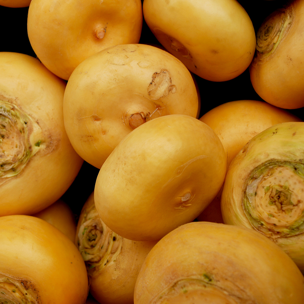 Startet med neper, nå er det milliardindustri | UiT