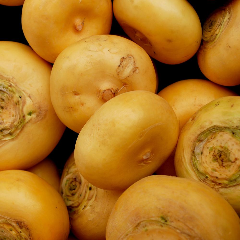 Startet med neper, nå er det milliardindustri | UiT