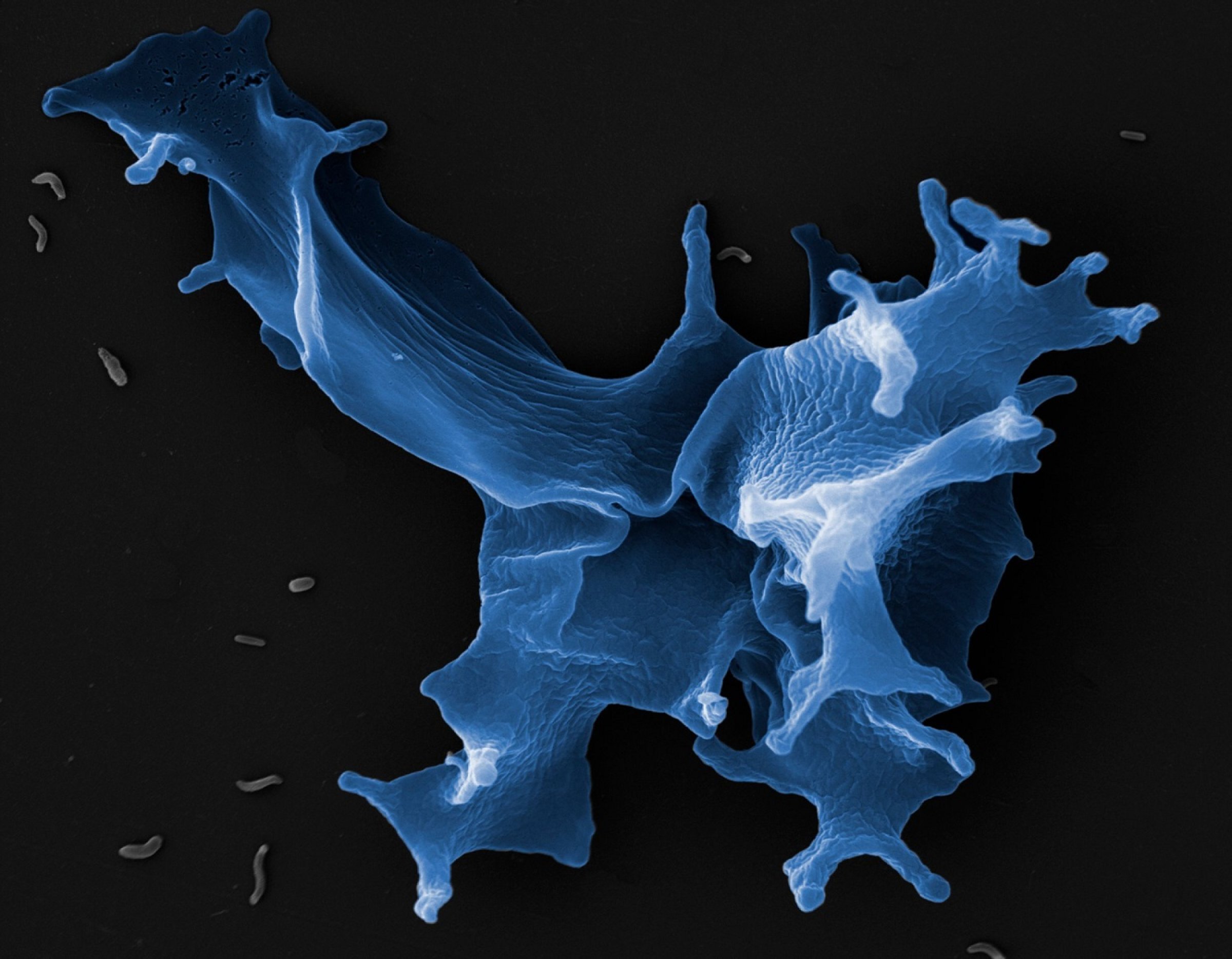 Under overflaten | UiT