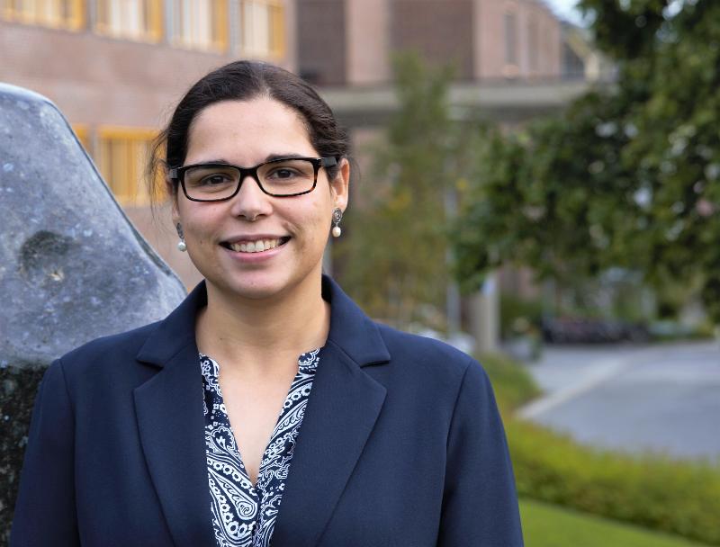 UiT researcher teaching Energy Law in Japan | UiT