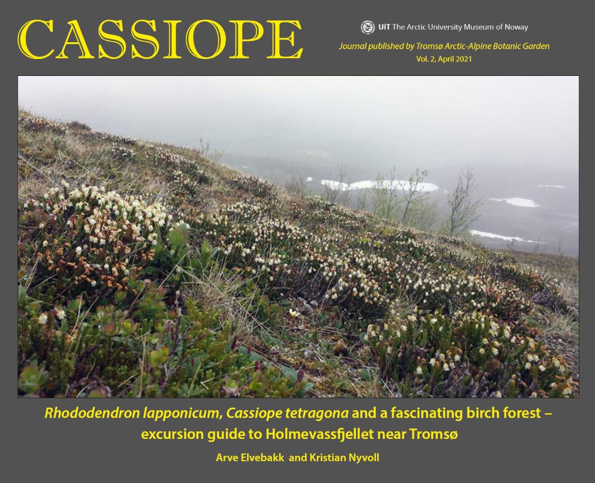 Cassiope vol. 2 | UiT