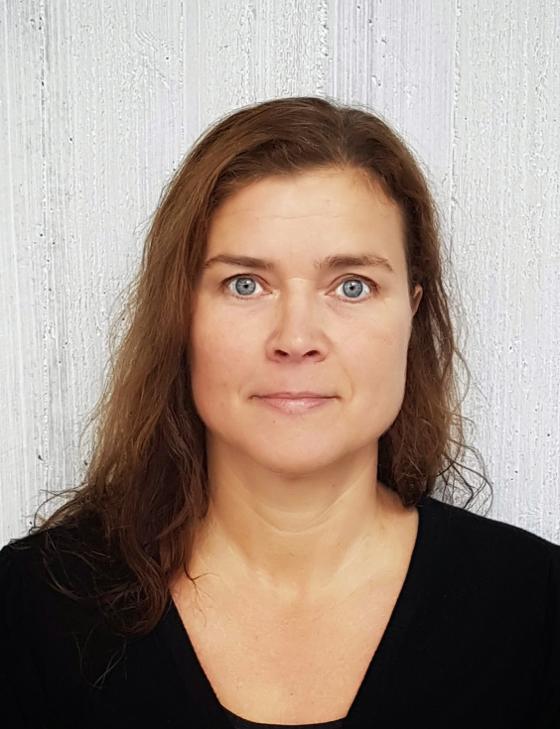 Kjerstin Havnes | UiT