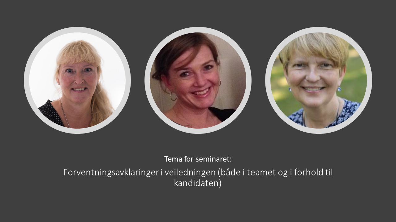 Velkommen til seminar for veiledere av ph.d-kandidater ved HSL 2. mars ...