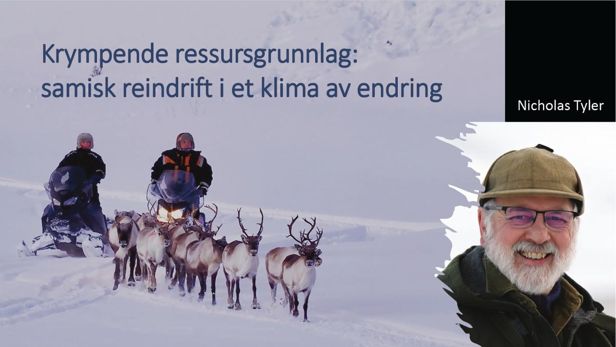 Krympende ressursgrunnlag. Samisk reindrift i et klima av endring | Arr ...